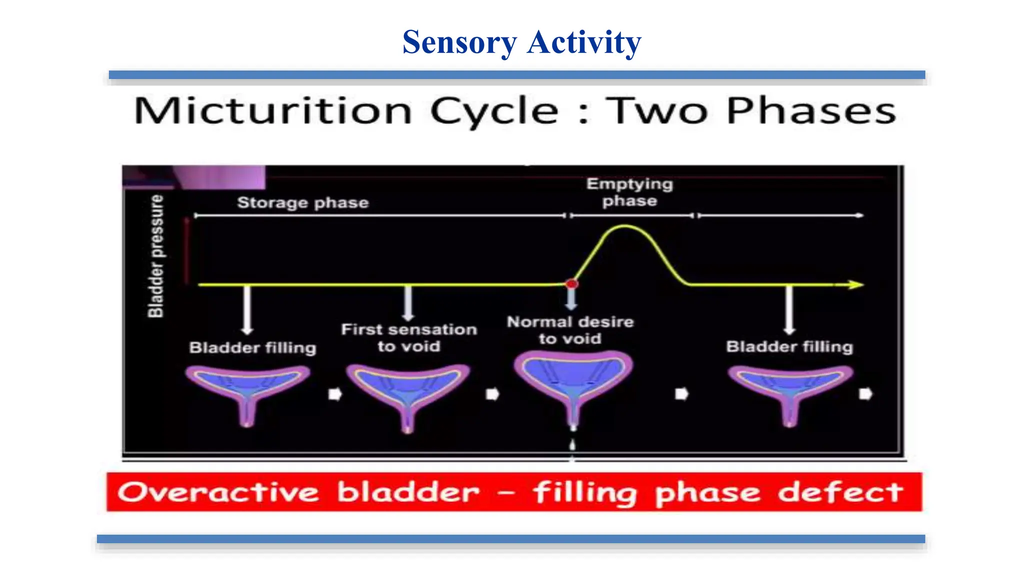 OVERACTIVE BLADDER AND THEIR MANAGEMENT. | PPTX