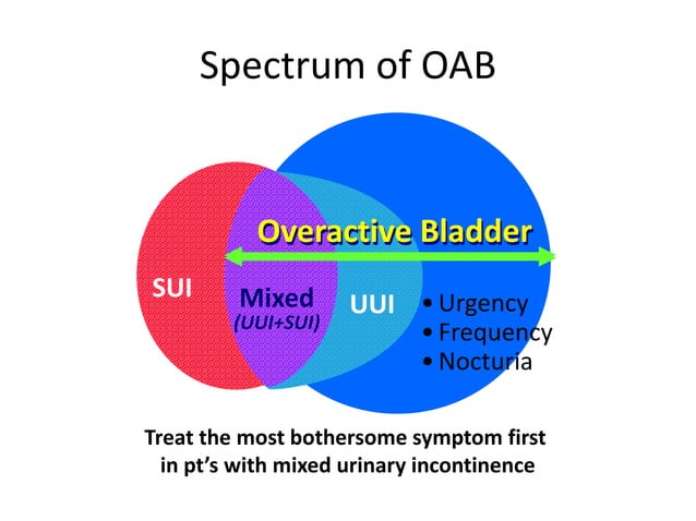 Over Active Bladder ‘an enigma’ Dr Jyoti Agarwal Dr Sharda Jain | PPTX