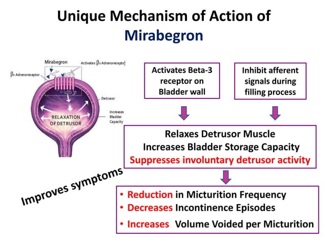 Over Active Bladder ‘an enigma’ Dr Jyoti Agarwal Dr Sharda Jain | PPTX