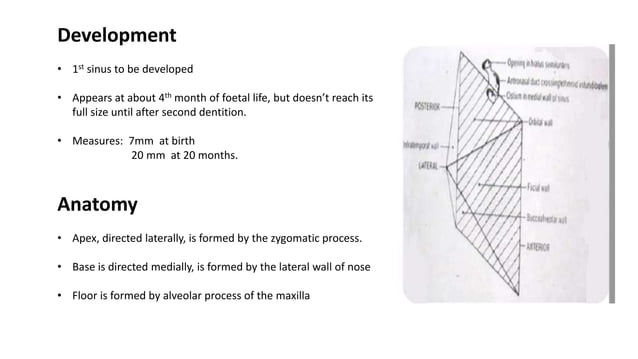 Oro-antral fistula | PPTX | Ear, Nose and Throat Conditions | Diseases ...