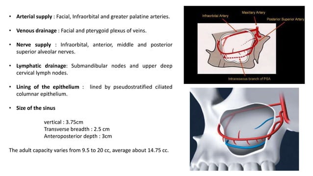Oro-antral fistula | PPTX | Ear, Nose and Throat Conditions | Diseases ...