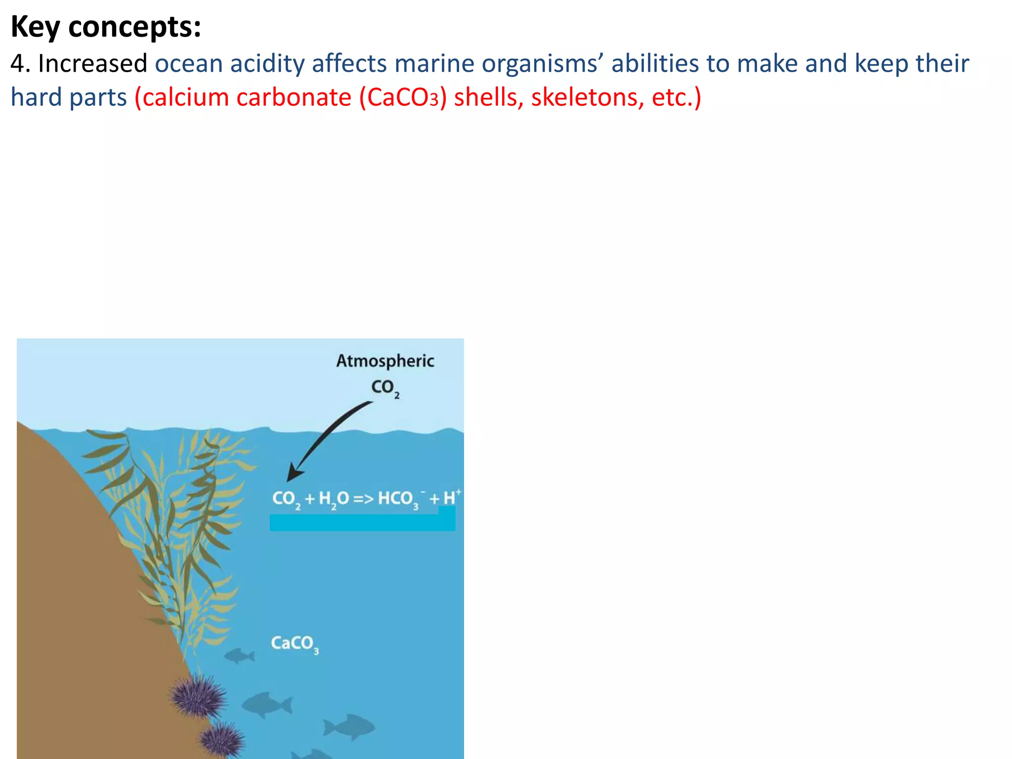 Ocean Acidification: Cause, Impact and mitigation | PPTX