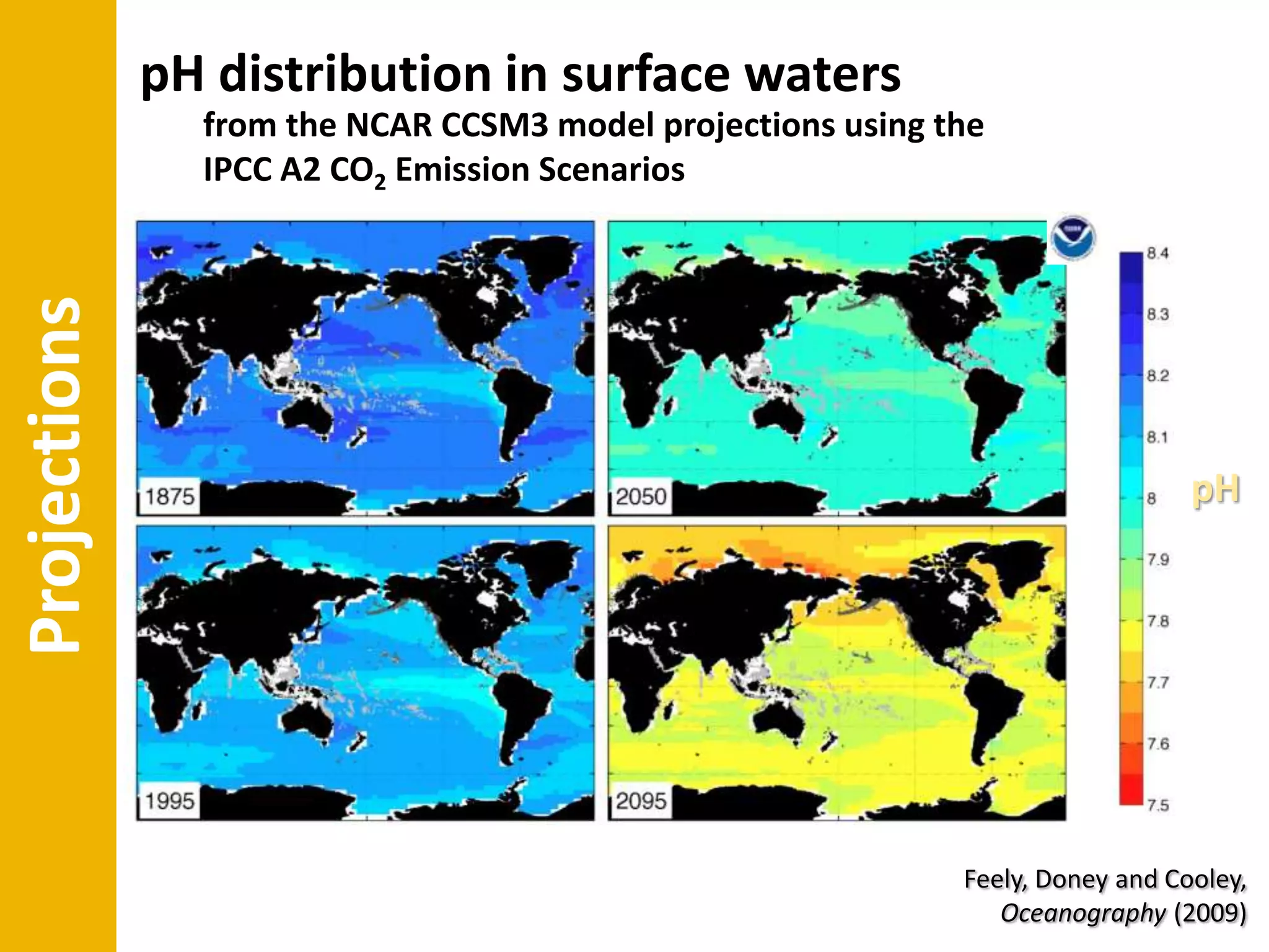 Ocean Acidification: Cause, Impact and mitigation | PPTX