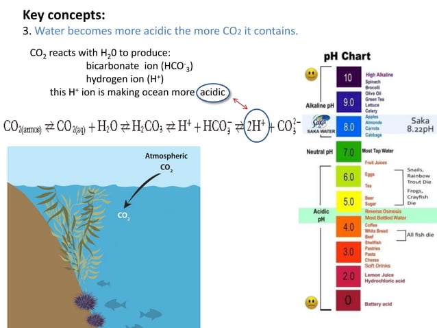 Ocean Acidification: Cause, Impact and mitigation | PPTX