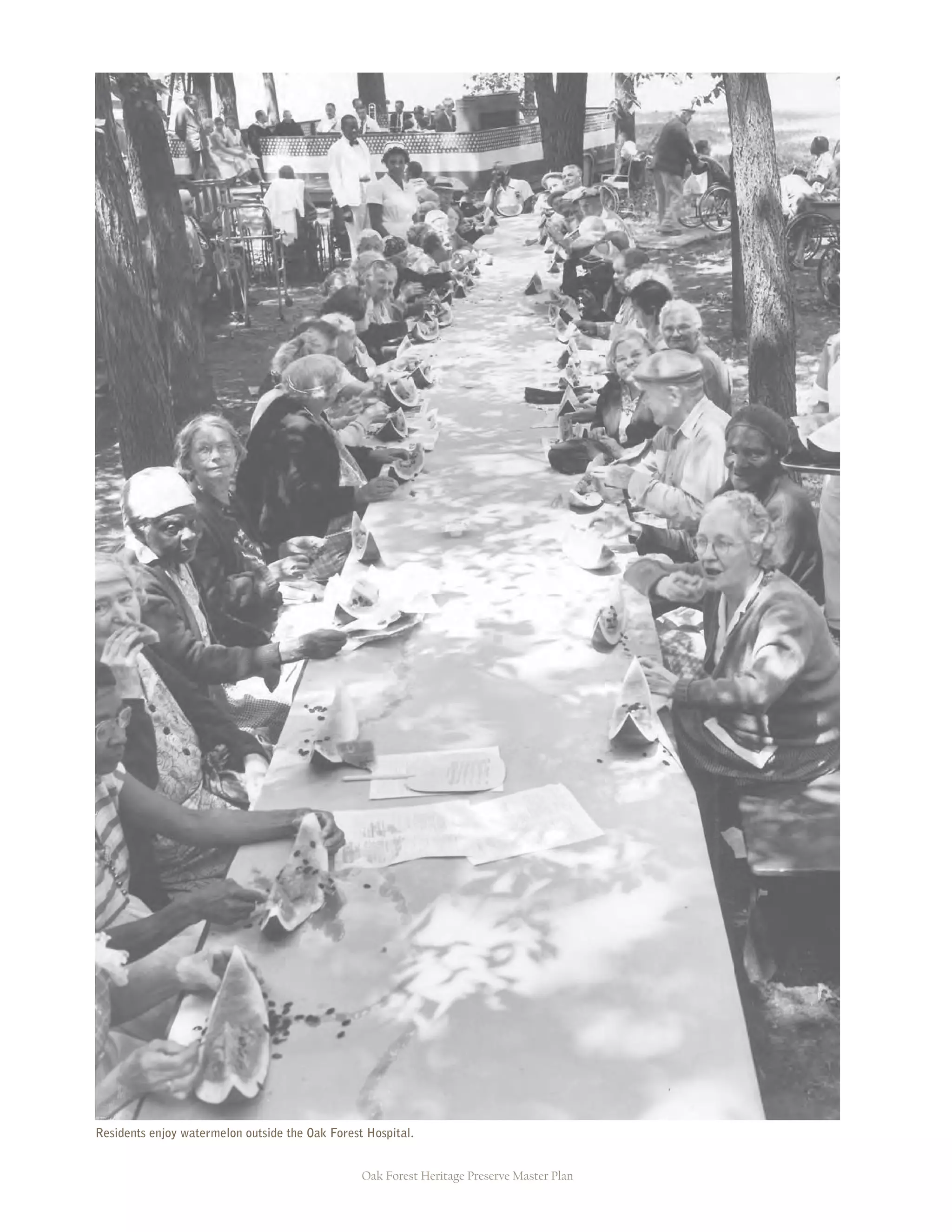 Forest Preserve District Executive Summary of Oak Forest Heritage ...