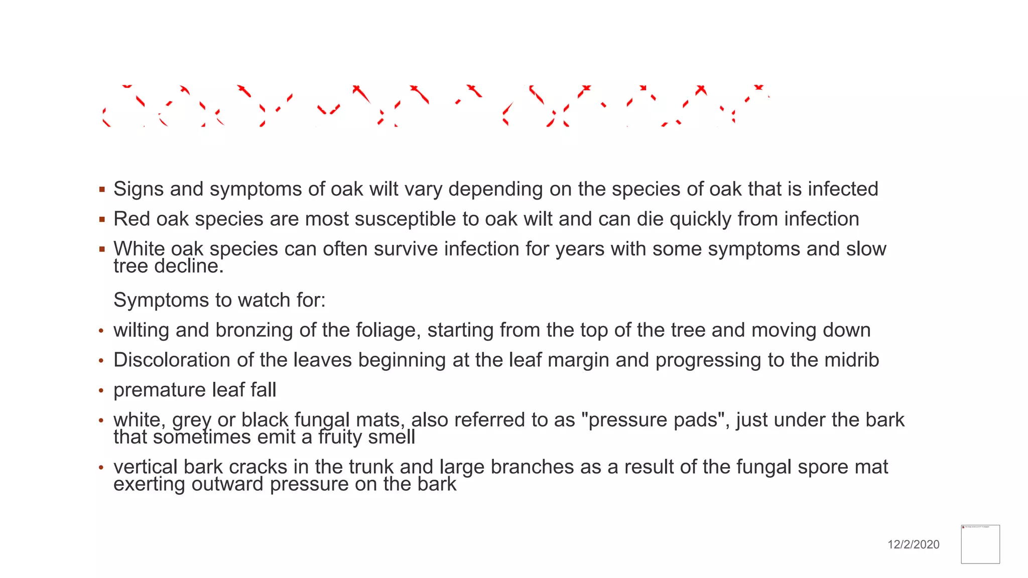 Diseases of Forest Trees (Oak wilt) | PPTX | Woodworking | Arts and Crafts