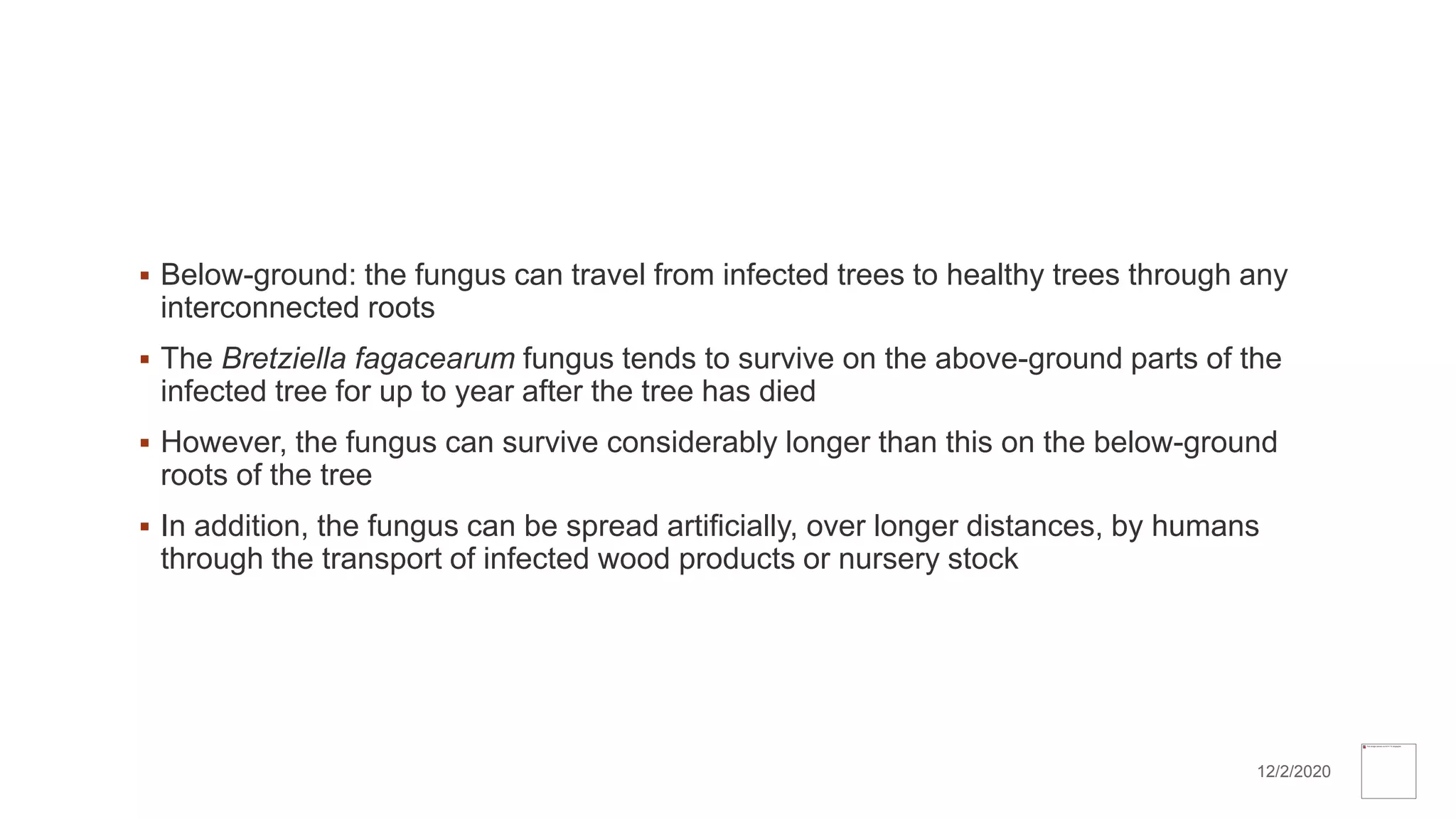 Diseases of Forest Trees (Oak wilt) | PPTX | Woodworking | Arts and Crafts