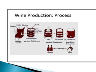 wine production | PPT