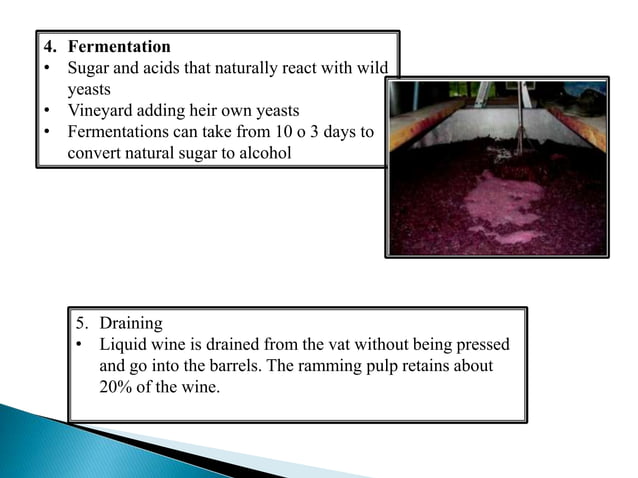wine production | PPT | Alcoholic Beverages | Food & Drink