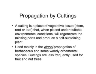 Plant propagation methodologies | PDF
