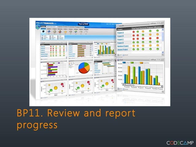 Oana Feidi - SPICE-UP Project Management | PPT