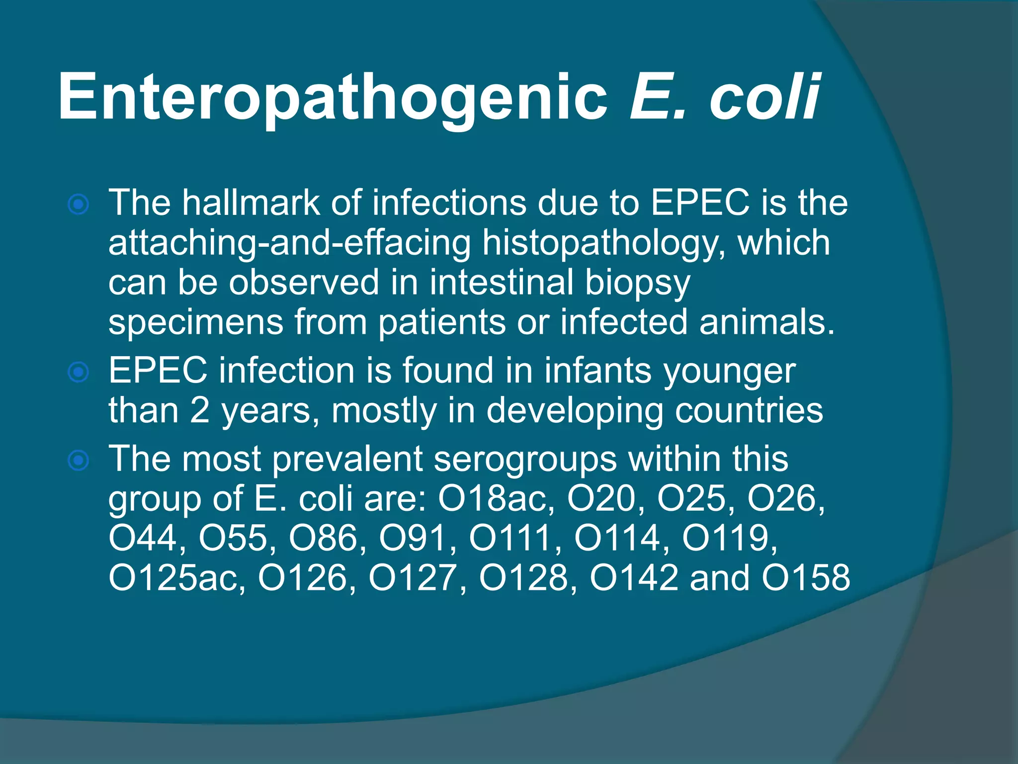 O antigens Escherichia coli | PPTX