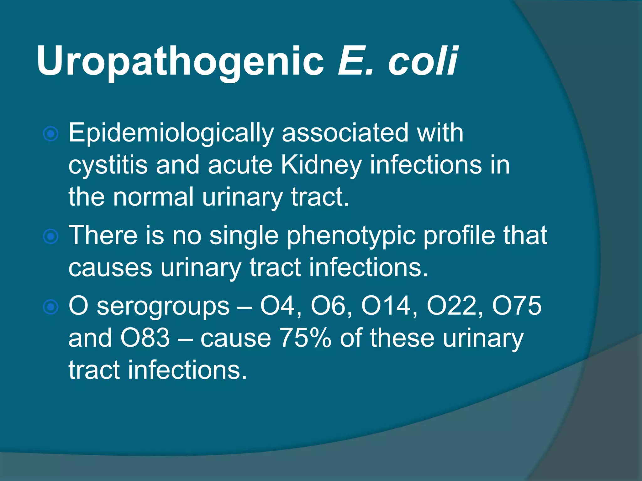 O antigens Escherichia coli | PPTX