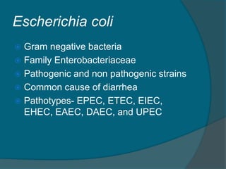 O antigens Escherichia coli | PPTX