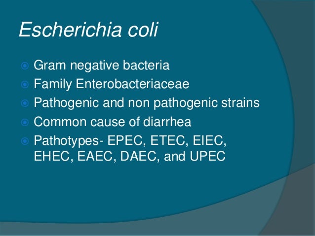 O antigens Escherichia coli