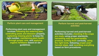 Organic Agriculture Production presentation | PPTX