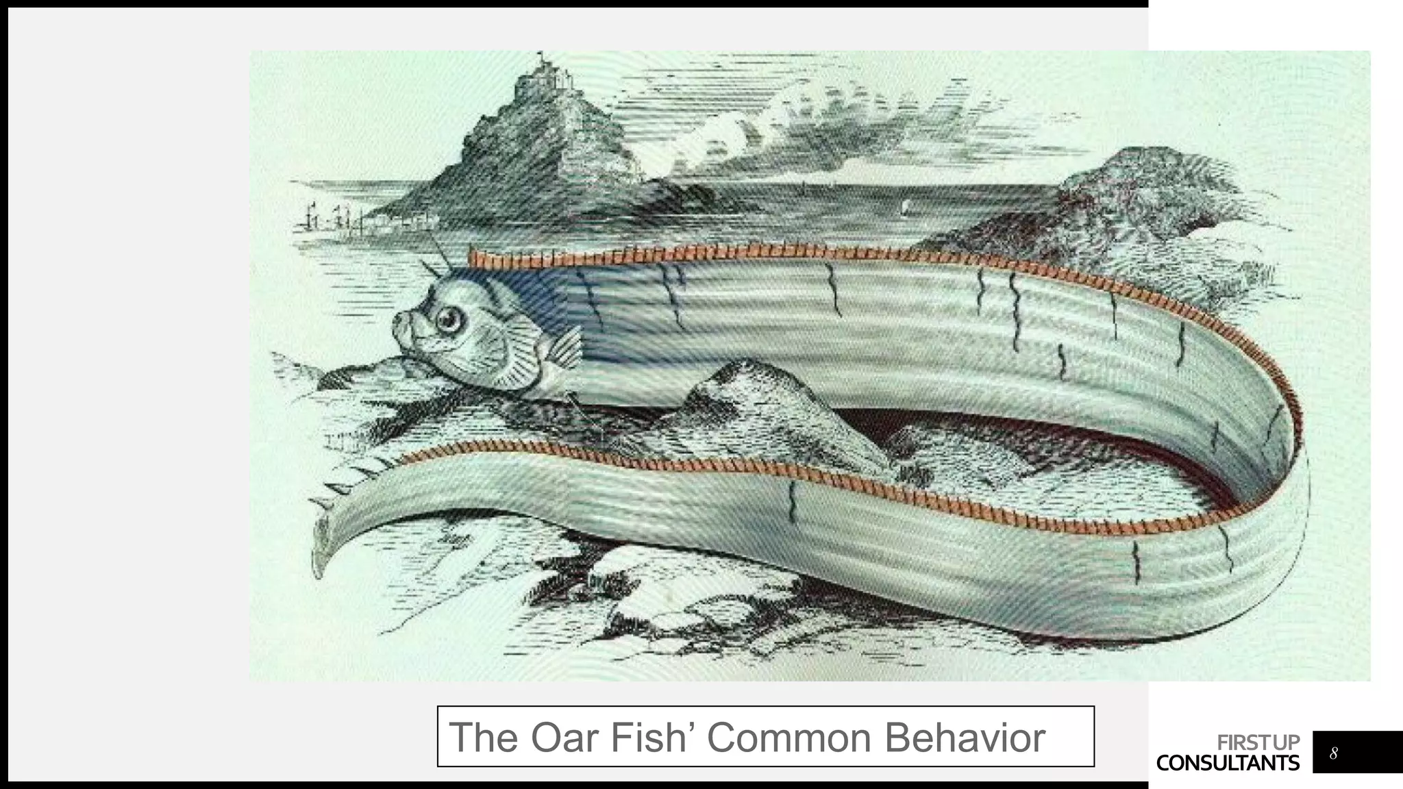 Oar fish- Characters, Habitat, Feeding ,Threat ppt | PDF