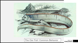 Oar fish- Characters, Habitat, Feeding ,Threat ppt | PDF