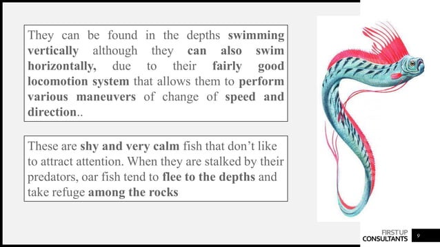 Oar fish- Characters, Habitat, Feeding ,Threat ppt | PDF