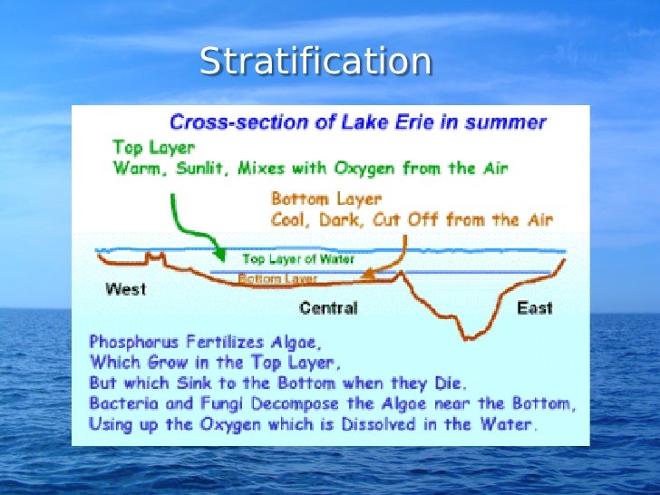 Dissolved Oxygen in Lake Erie Dissolved Oxygen in Lake Erie