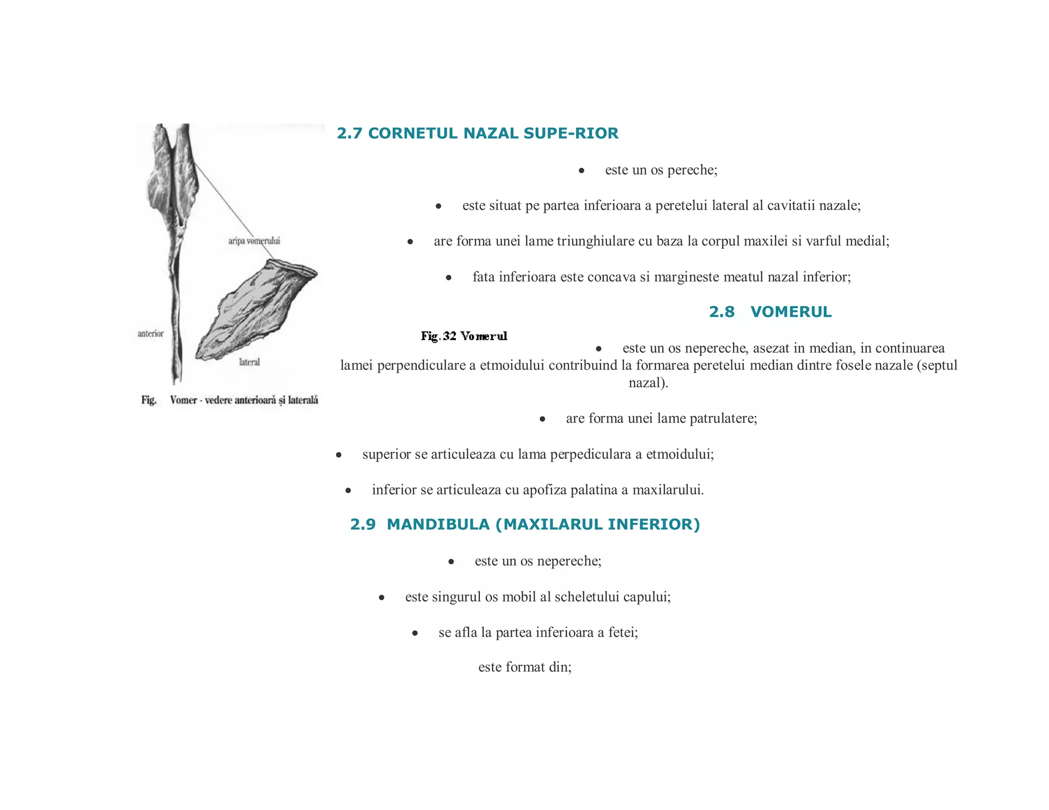 OASELE-CAPULUI.pdf