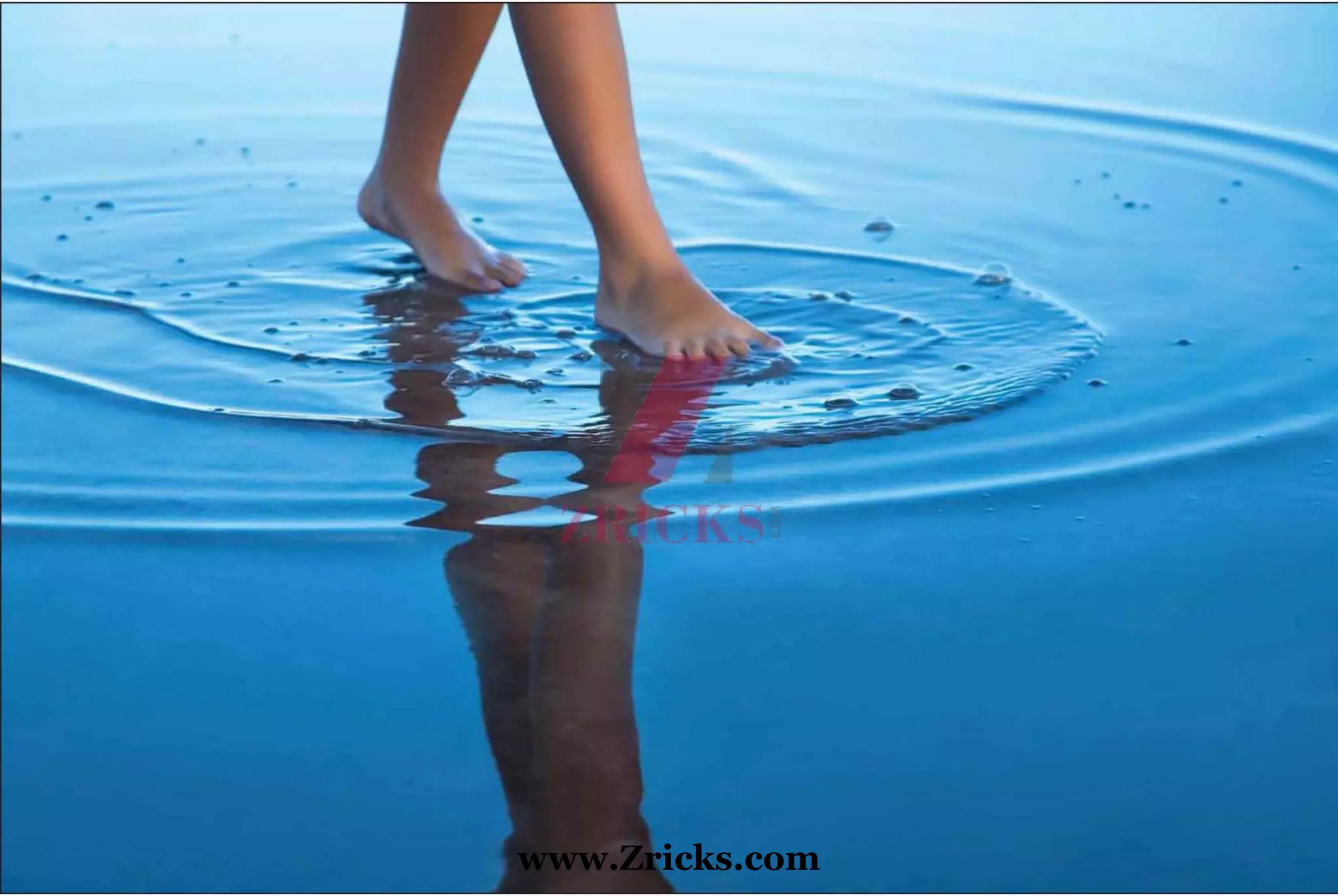 Prestige Oasis Brochure - Zricks.com