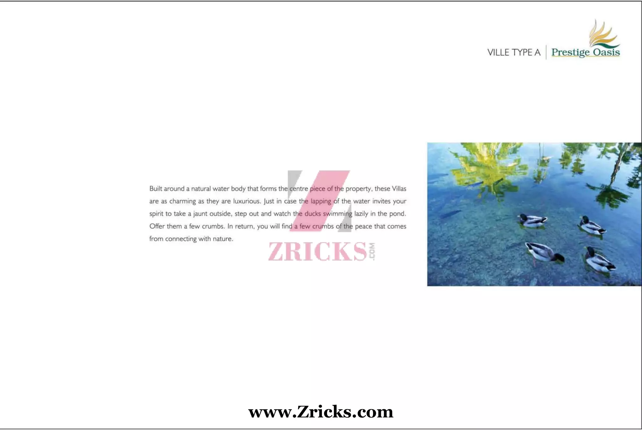 Prestige Oasis Brochure - Zricks.com