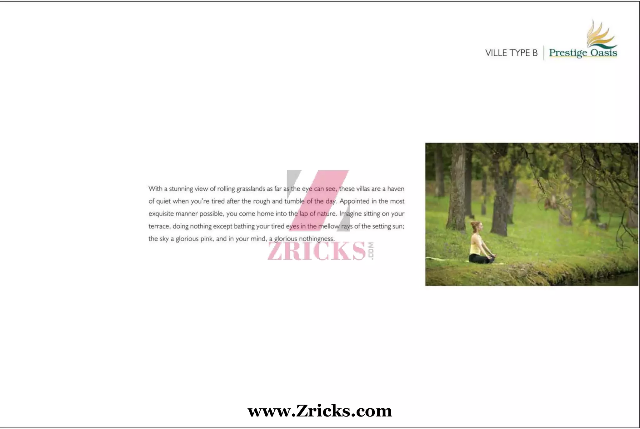 Prestige Oasis Brochure - Zricks.com