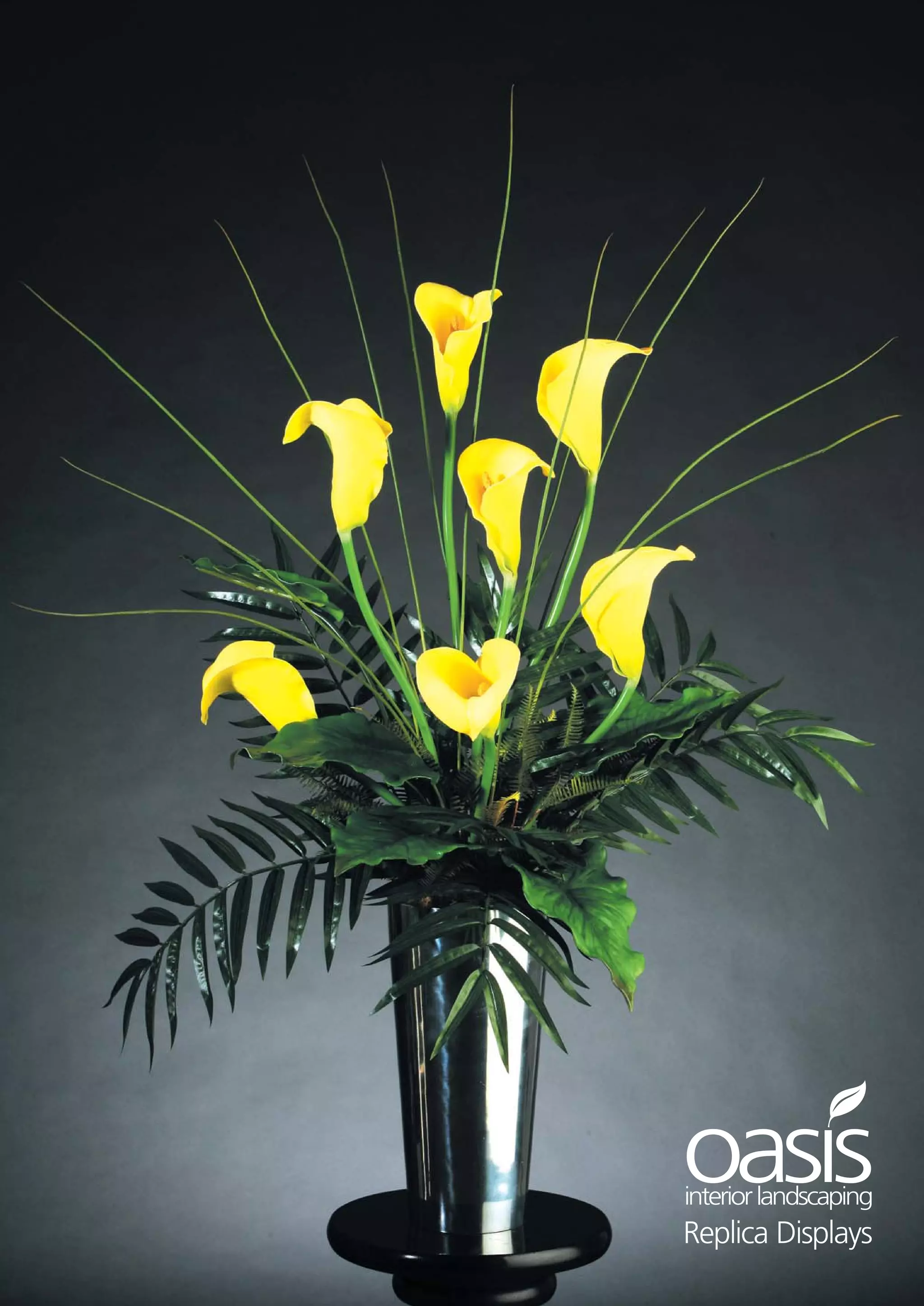 Oasis Replica Plant Displays | PDF