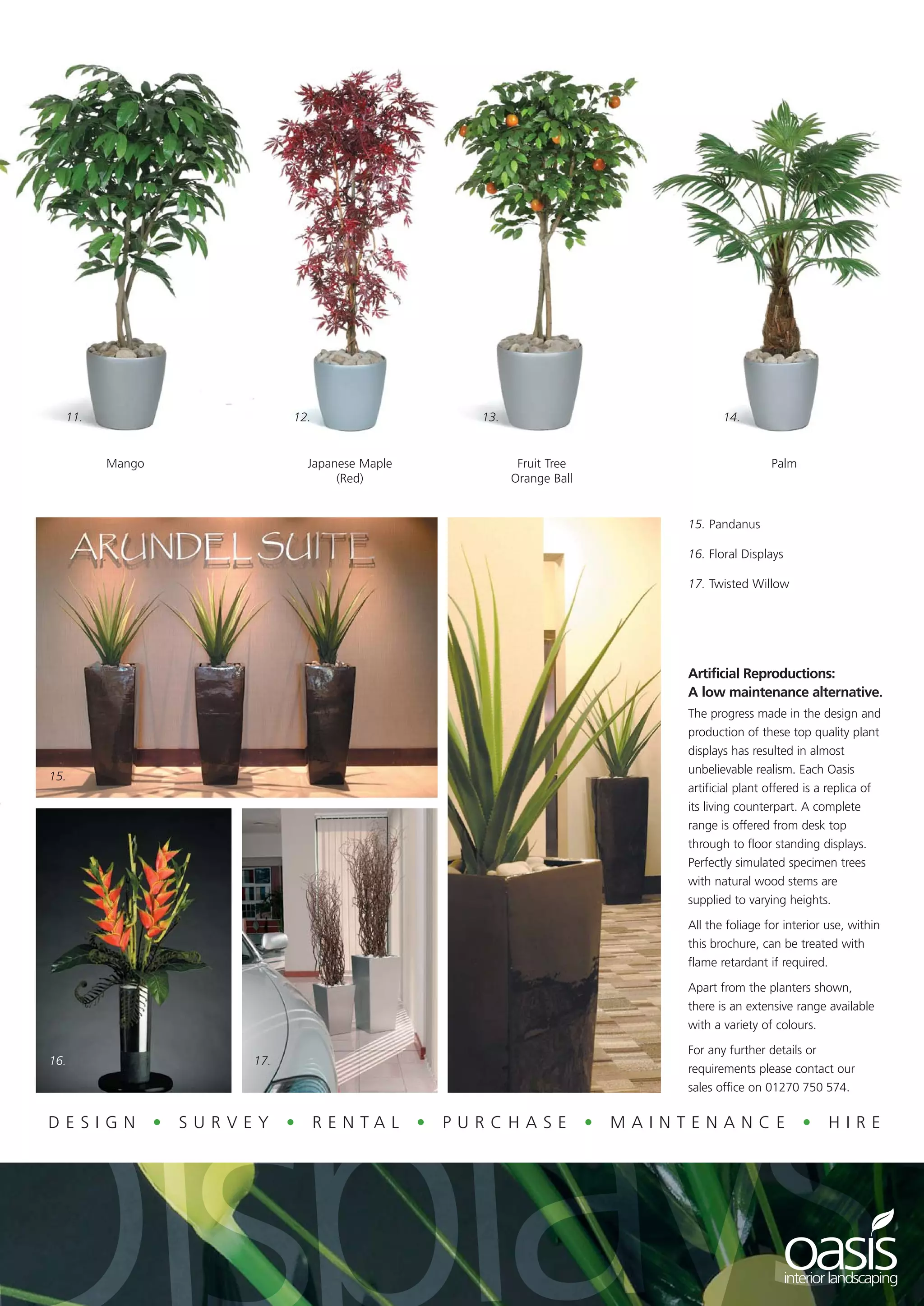 Oasis Replica Plant Displays | PDF