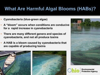 Harmful Algal Blooms | PDF