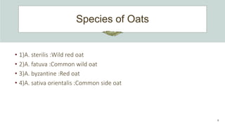 oat. 37..pptx