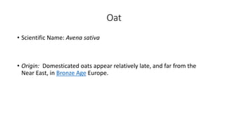 Oat fodder | PPTX