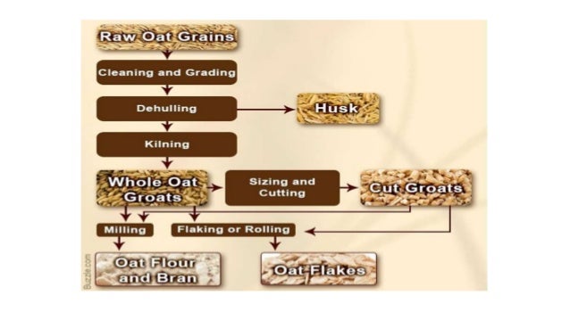 Oat Presentation By Dr.Aamir Ali