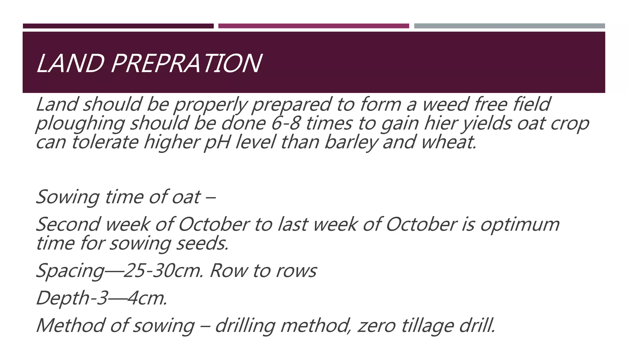 OAT PRESENTATION.pptx