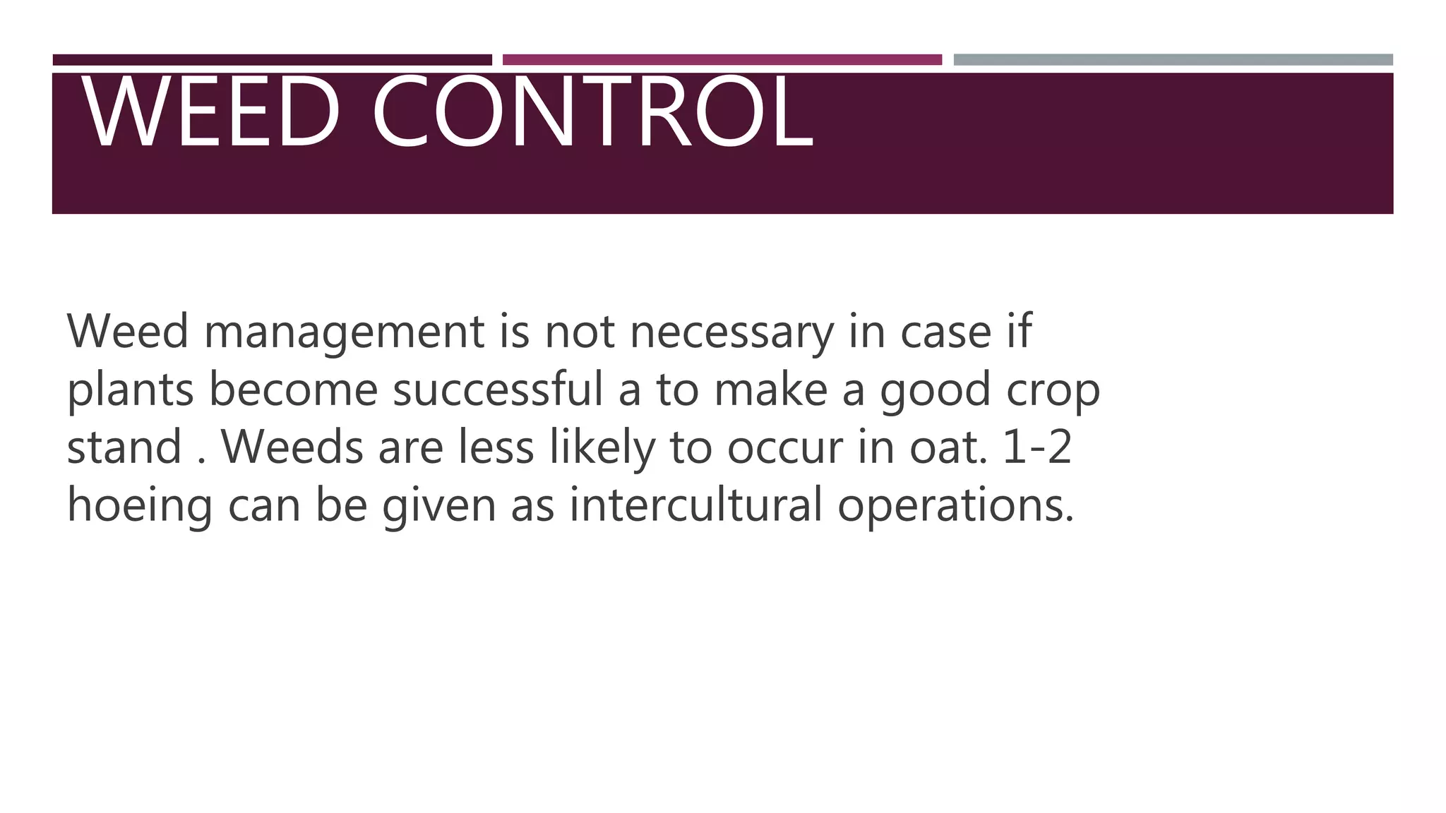 OAT PRESENTATION.pptx