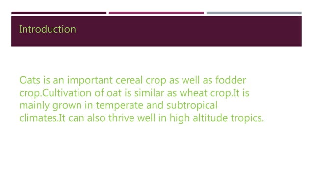 OAT PRESENTATION.pptx