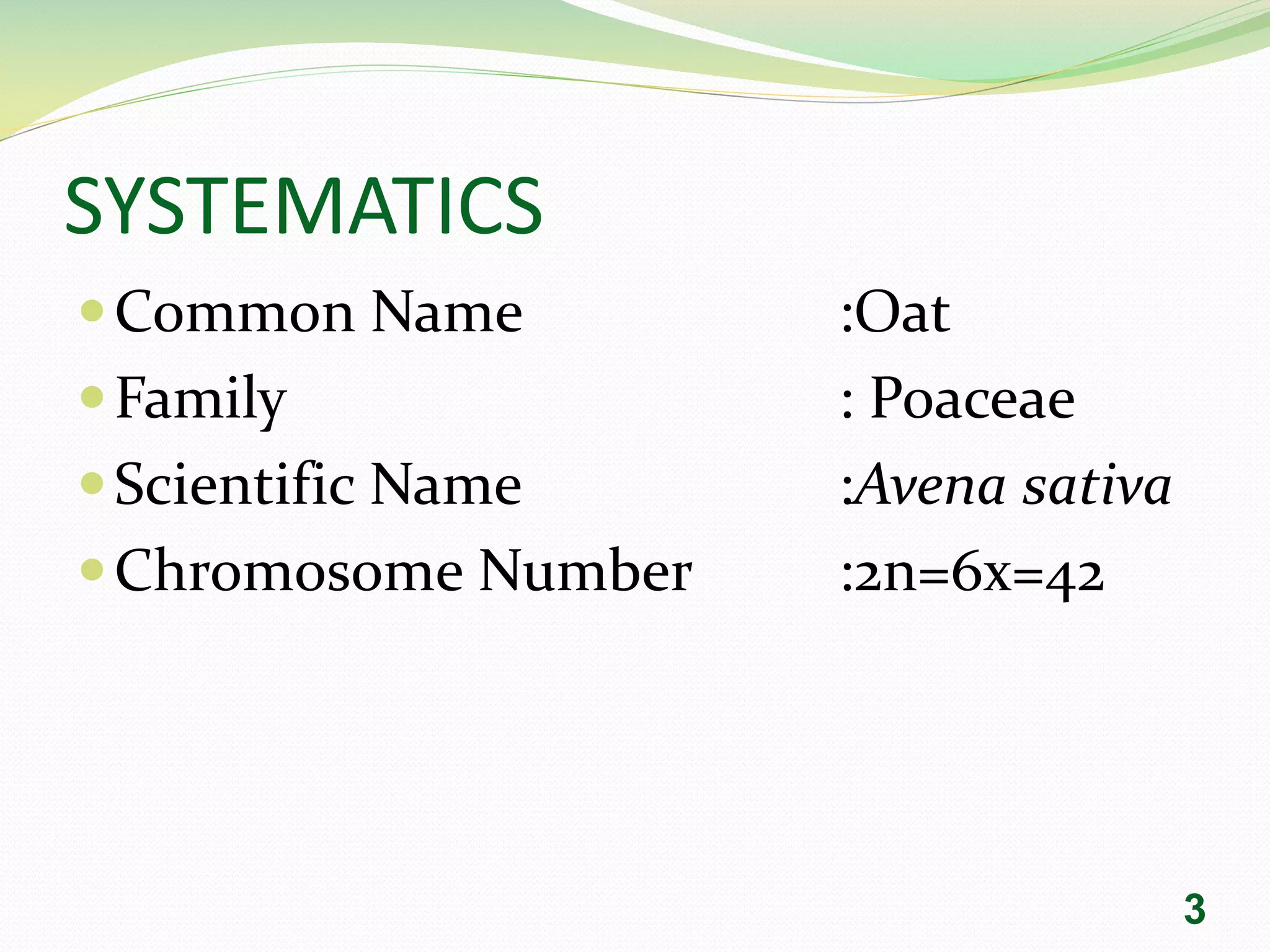 Oats | PDF