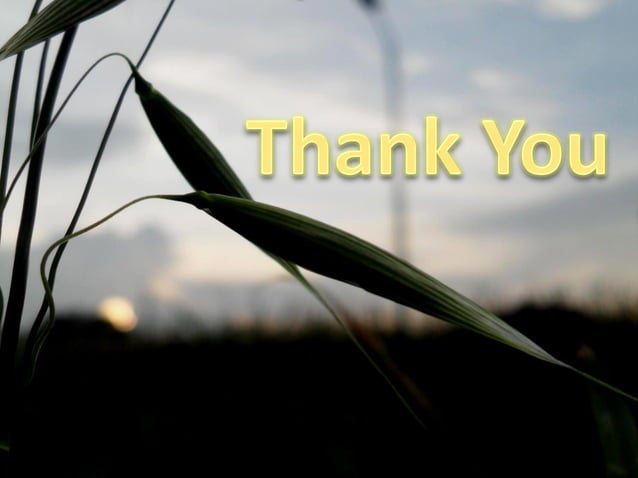 Oats | PDF | Gardening | Home & Garden