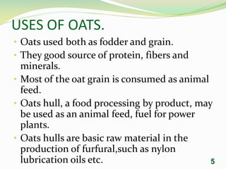 Oats | PDF