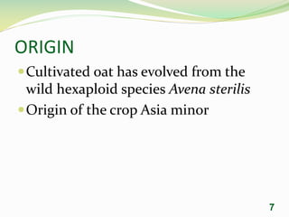 Oats | PDF