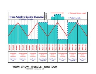 Jeff Anderson-Optimum Anabolics | PDF