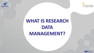 Basics of Research Data Management | PDF