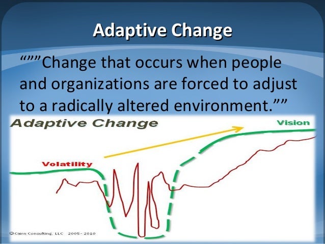 The Work of Leadership in Adaptive Change