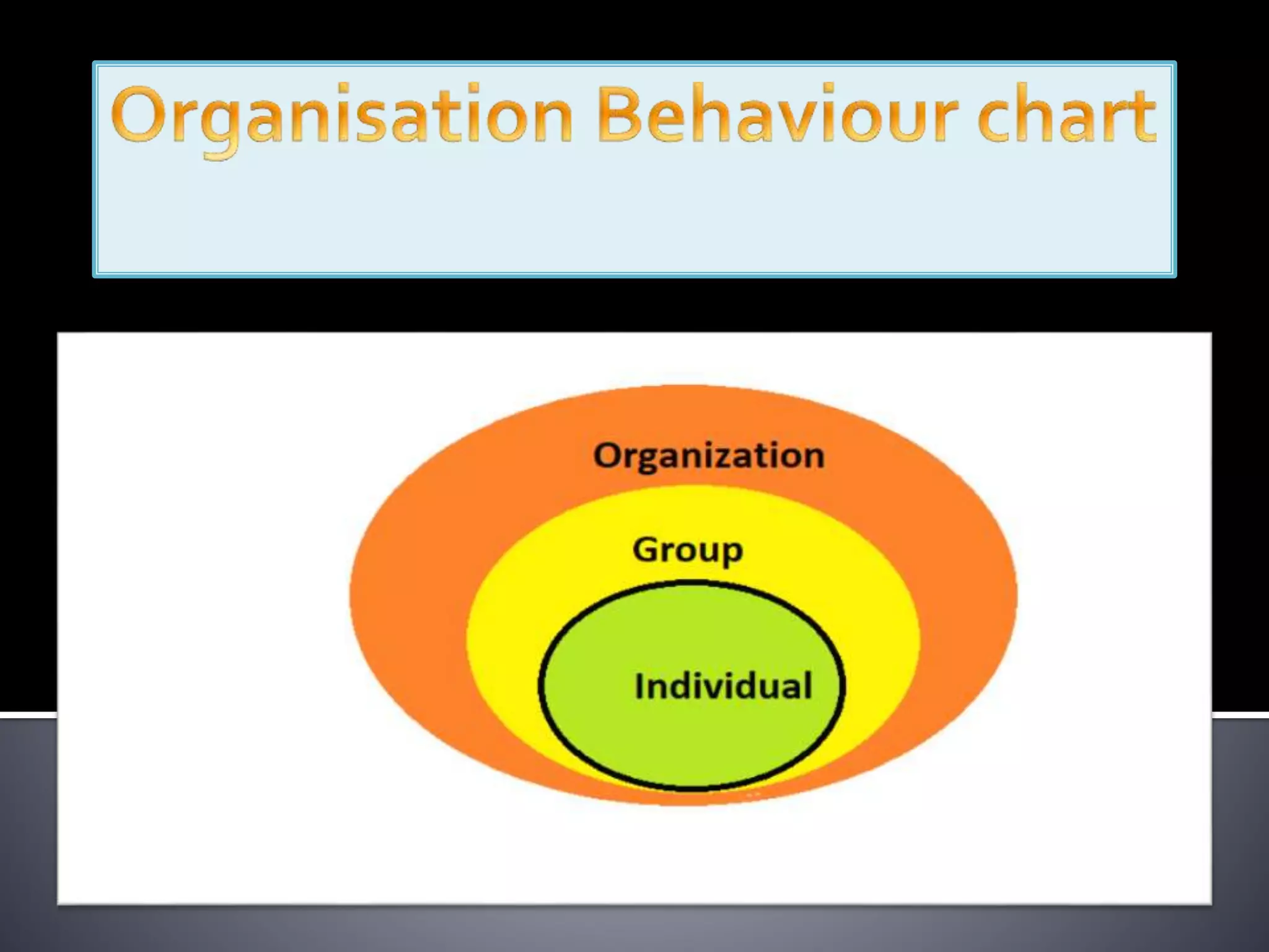 organisational behaviour | PPT