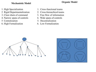 Organisation theory | PPT | Business Administration | Business