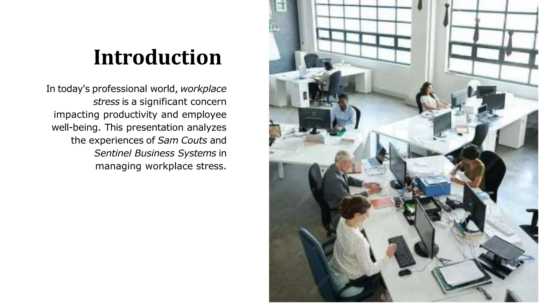 Sam court and sentinel business system.pptx