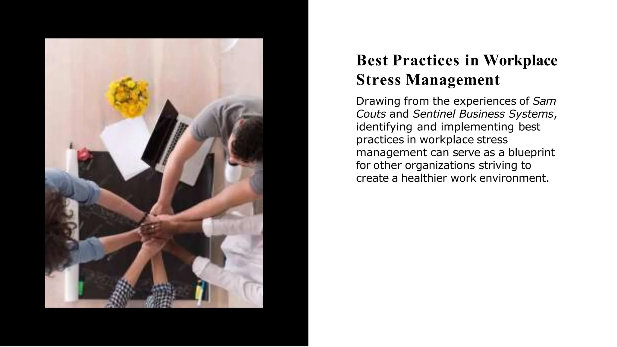 Sam court and sentinel business system.pptx