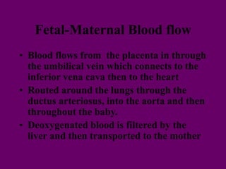 Obstetrics pathology in pregnancy and labour | PPT