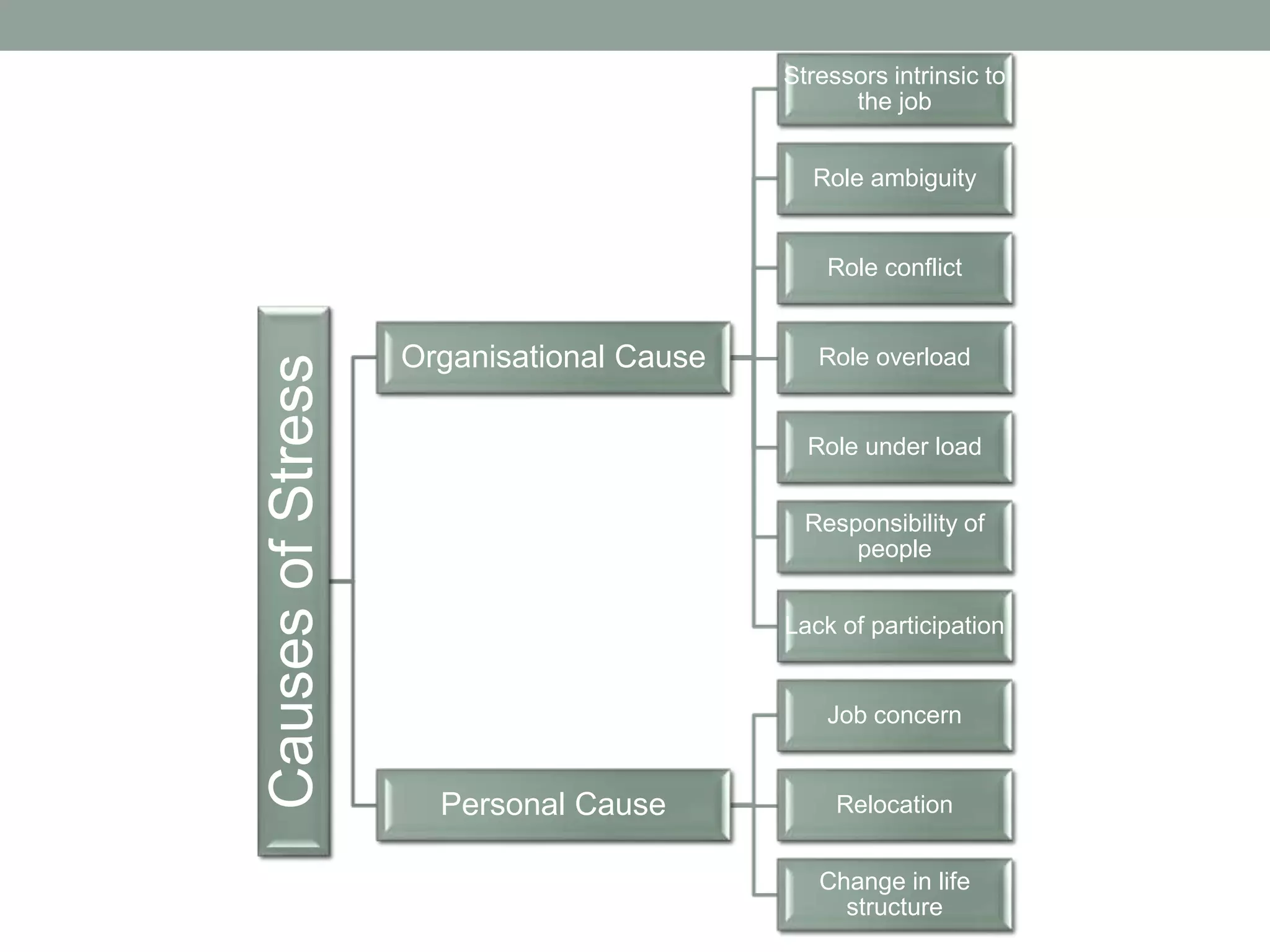 Conflicts and Stress | PPTX
